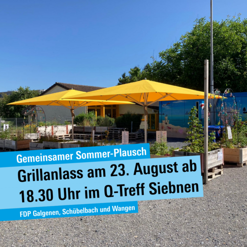 FDP.Die Liberalen Galgenen - Medienmitteilungen detail